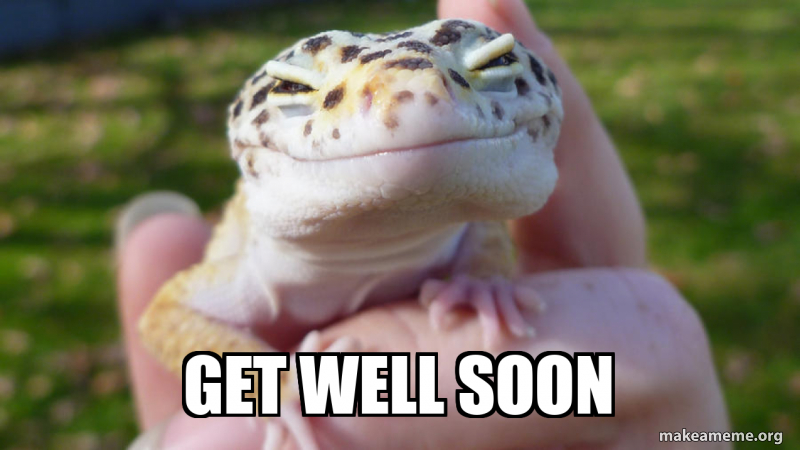 GET WELL SOON Meme Generator
