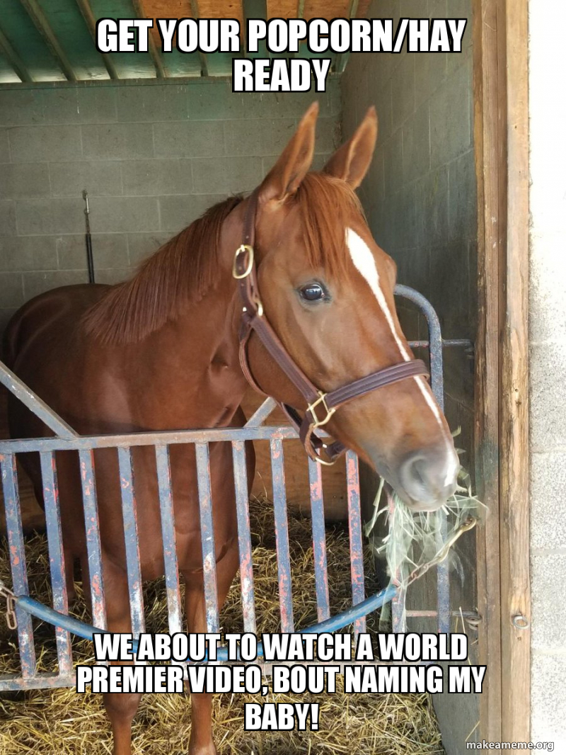 Get Your Popcorn/hay ready we about to watch a world premier video ...