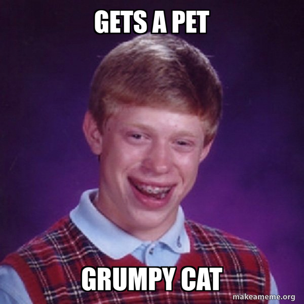 Gets a pet Grumpy cat - Bad Luck Brian Meme Generator
