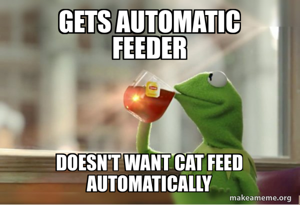 Gets automatic feeder Doesn't Want Cat Feed Automatically - Kermit ...