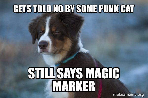 GETS TOLD NO BY SOME PUNK CAT STILL SAYS MAGIC MARKER - Unsure Dog Meme ...