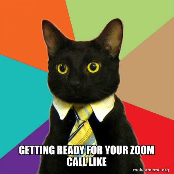 Getting ready for your zoom call like - Business Cat Meme Generator