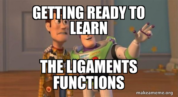 Getting ready to learn the ligaments functions - Buzz and Woody (Toy ...