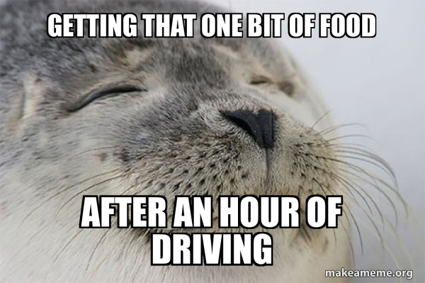 Getting that one bit of food After an hour of driving - Satisfied Seal ...