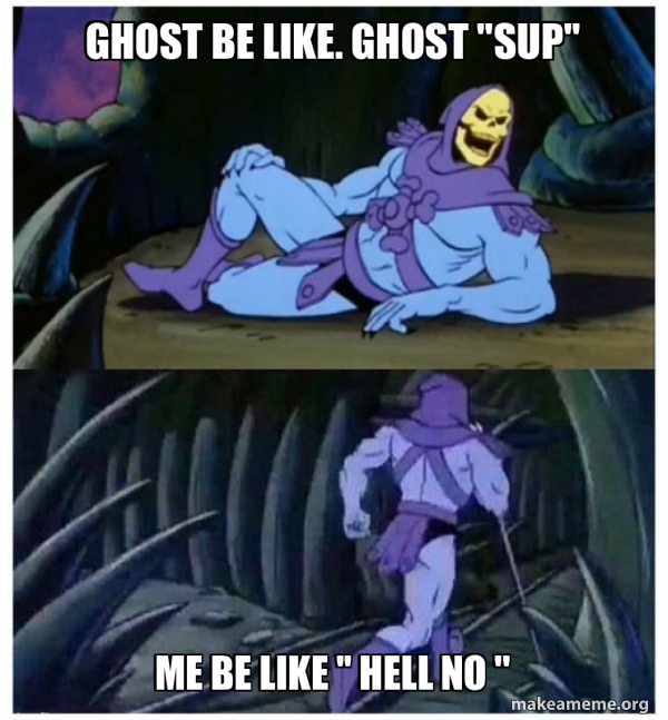 ghost be like. ghost ''sup'' me be like '' hell no '' - Skeletor Facts Meme Generator