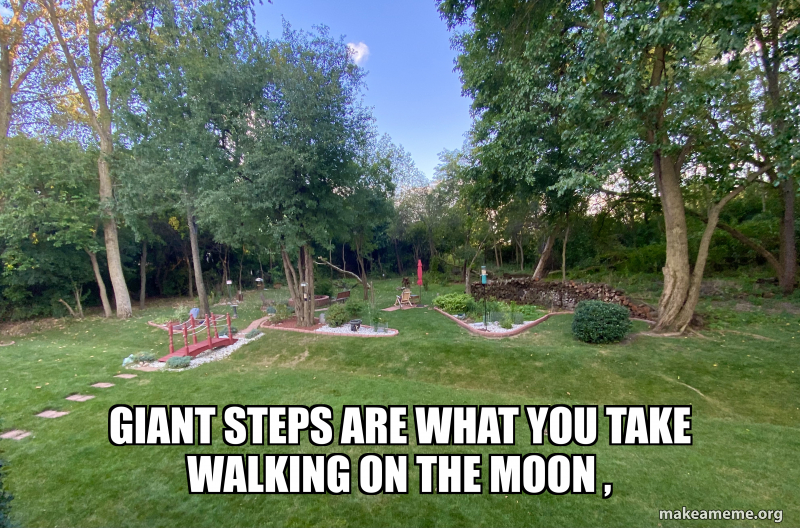 Giant steps are what you take walking on the moon , Meme Generator