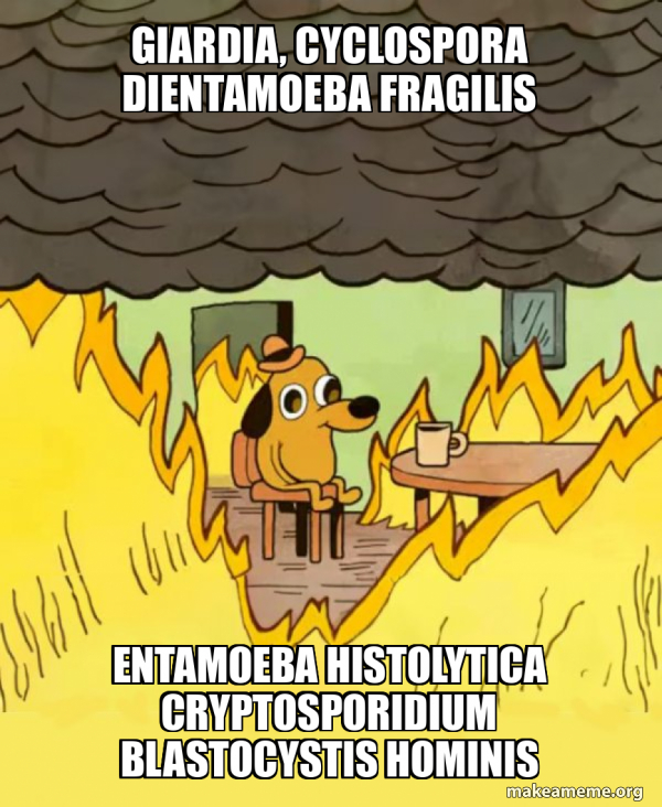 Giardia, Cyclospora Dientamoeba fragilis Entamoeba Histolytica ...