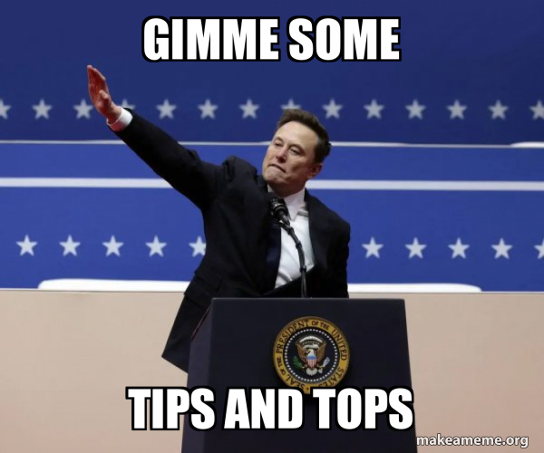 gimme some tips and tops - Nazi Elon Meme Generator