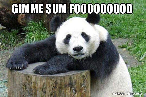 Gimme sum fooooooood - Confession Panda Meme Generator