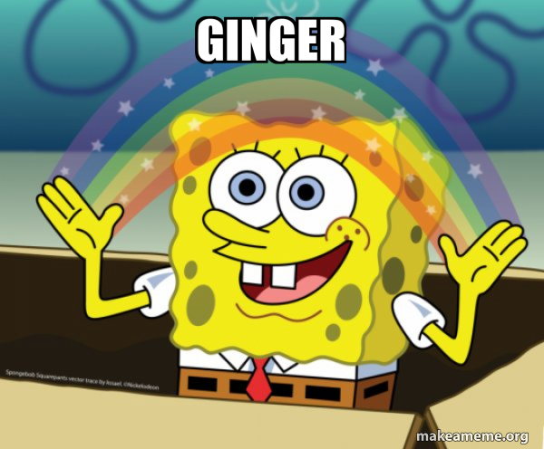 Ginger - Rainbow SpongeBob Meme Generator