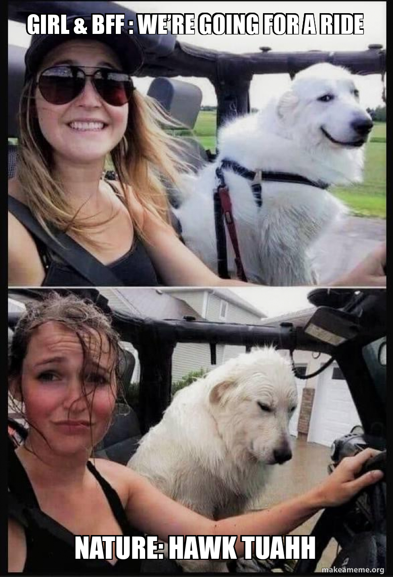 Girl & bff : We’re going for a ride Nature: HAWK TUAHH - Natureâ s ...
