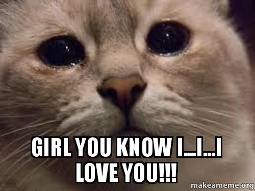 girl you know i...i...i love you!!! Meme Generator
