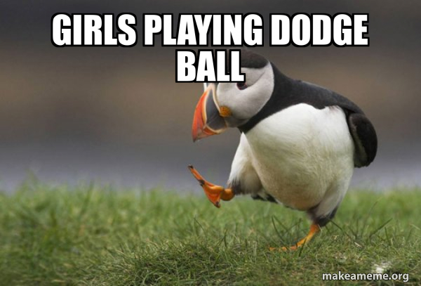 Girls playing dodge ball - Unpopular Opinion Puffin Meme Generator