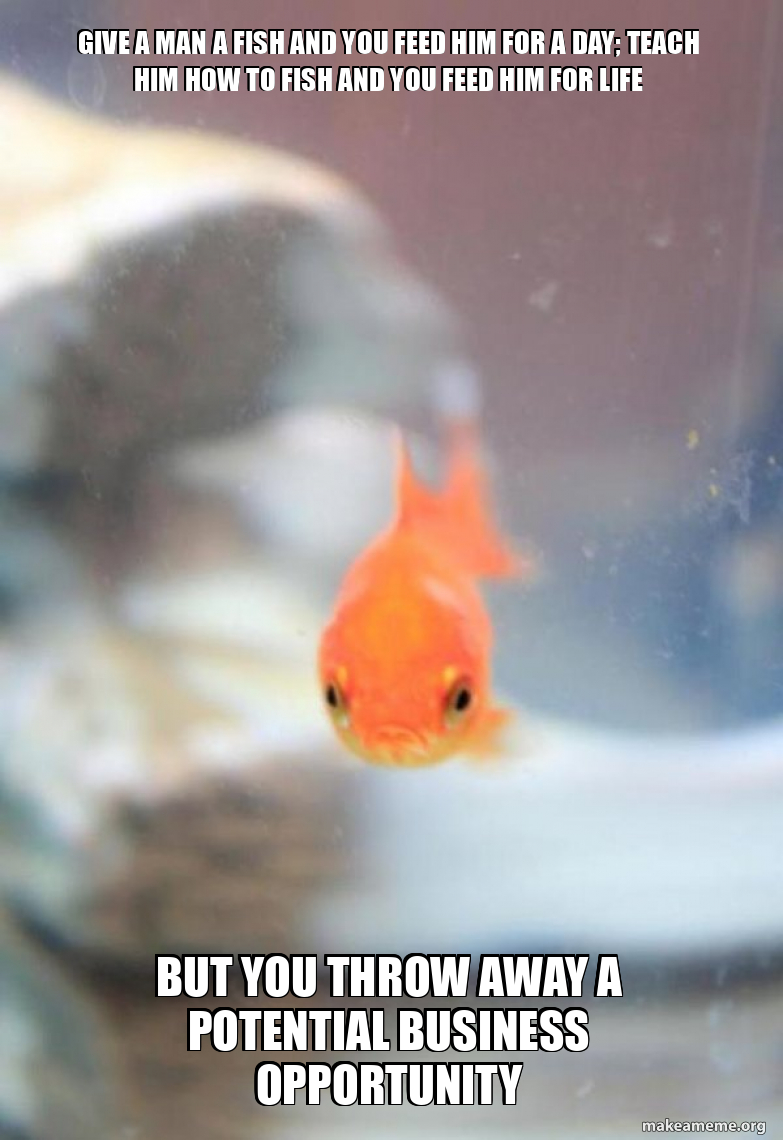 Give a man a fish and you feed him for a day; teach him how to fish and ...