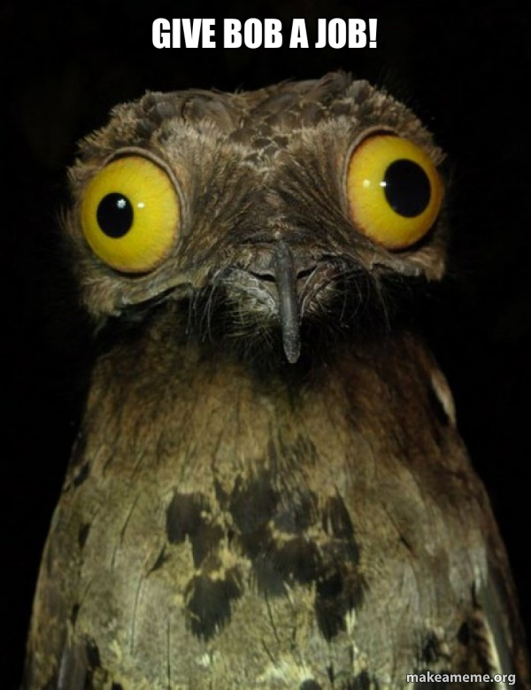 Give bob a job! - Weird Stuff I do Potoo Meme Generator