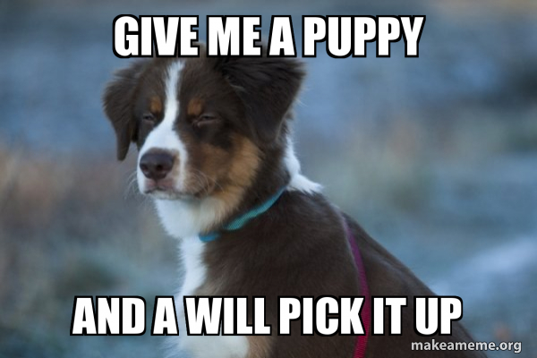 Give me a puppy And a will pick it up - Unsure Dog Meme Generator