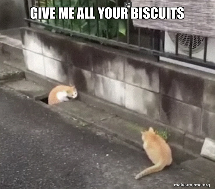 Give me all your biscuits Meme Generator