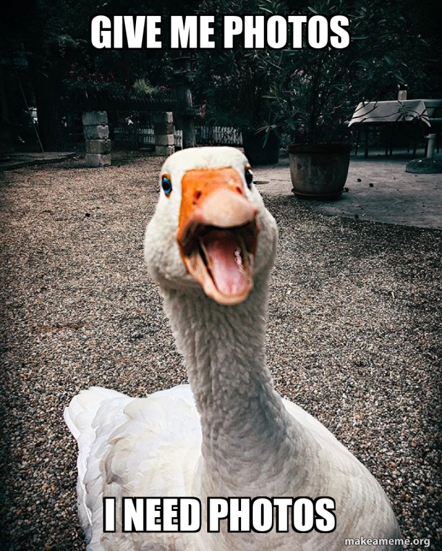 GIVE ME PHOTOS i need photos Meme Generator