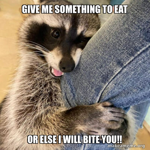 GIVE ME SOMETHING TO EAT OR ELSE I WILL BITE YOU!! Meme Generator