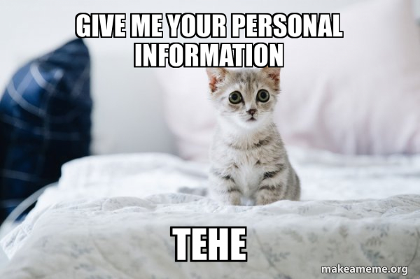Give me your personal information TEHE - Cute Kitten Meme Generator