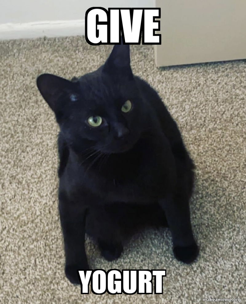 Give Yogurt Meme Generator