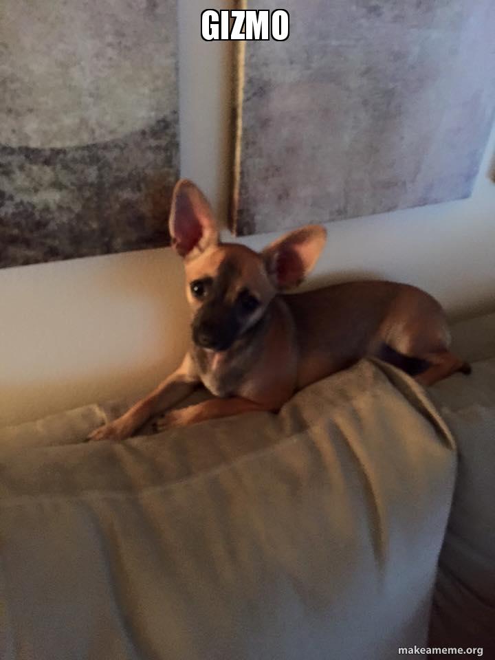Gizmo Meme Generator