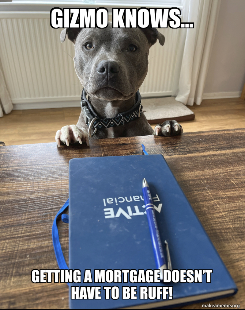 Gizmo knows… Getting a mortgage doesn’t have to be ruff! Meme Generator