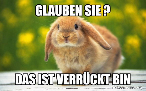 Glauben sie ? Das ist verrückt bin - Regretful Rabbit Meme Generator