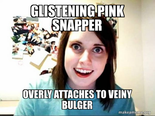 glistening pink snapper overly attaches to veiny bulger - Overly ...