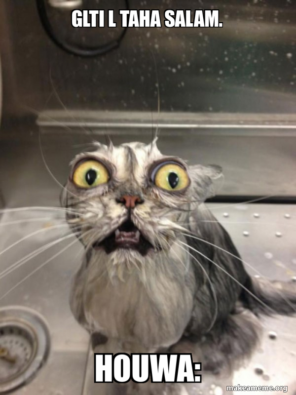 Glti l taha salam. houwa: - Cat bath Meme Generator