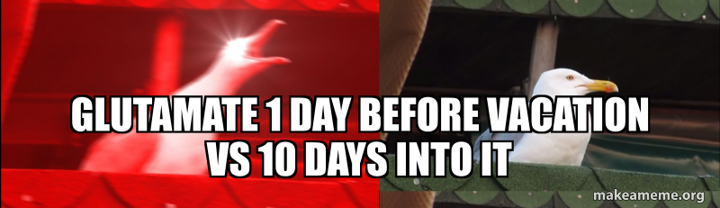 Glutamate 1 Day before vacation vs 10 days into it Meme Generator