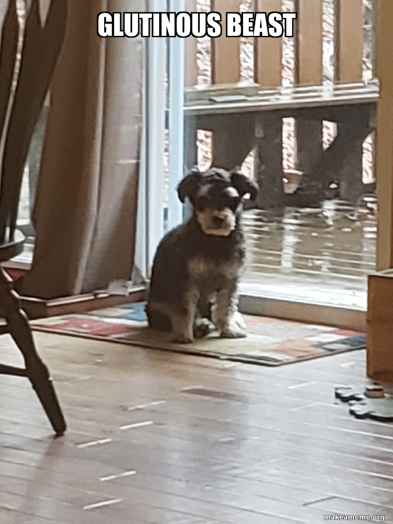 Glutinous BEAST Meme Generator