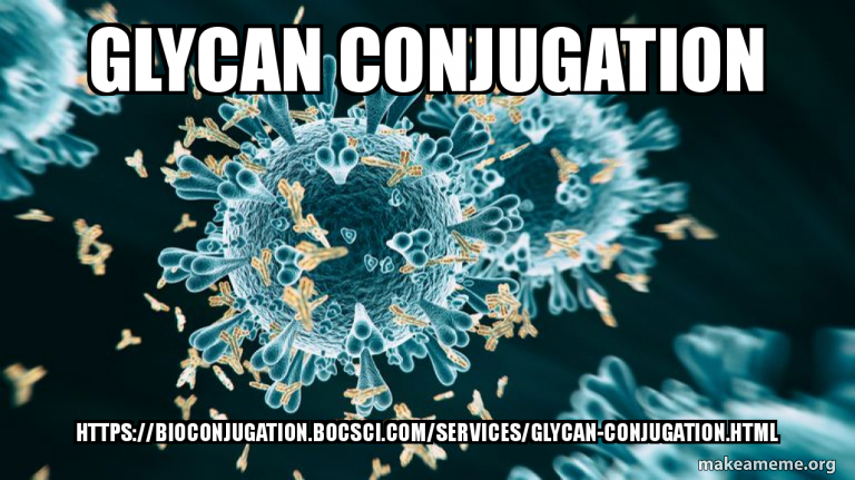 glycan conjugation https://bioconjugation.bocsci.com/services/glycan ...