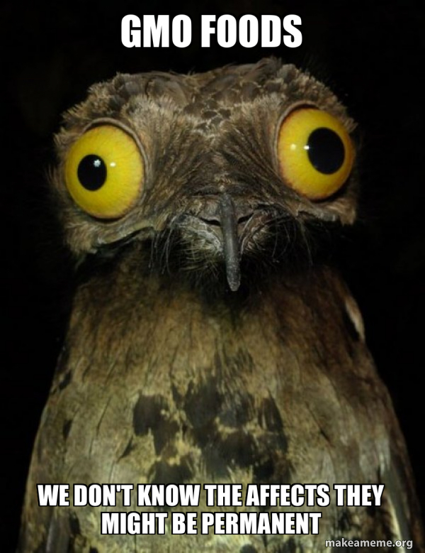GMO foods we don't know the affects they might be permanent - Weird Stuff I do Potoo Meme Generator