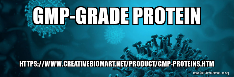 GMP-grade protein https://www.creativebiomart.net/product/gmp-proteins ...