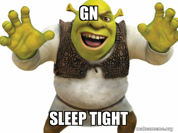 gn sleep tight - Shrek Meme Generator
