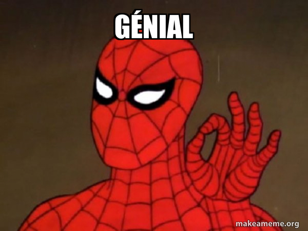 Génial - Spiderman - Care factor Zero Meme Generator