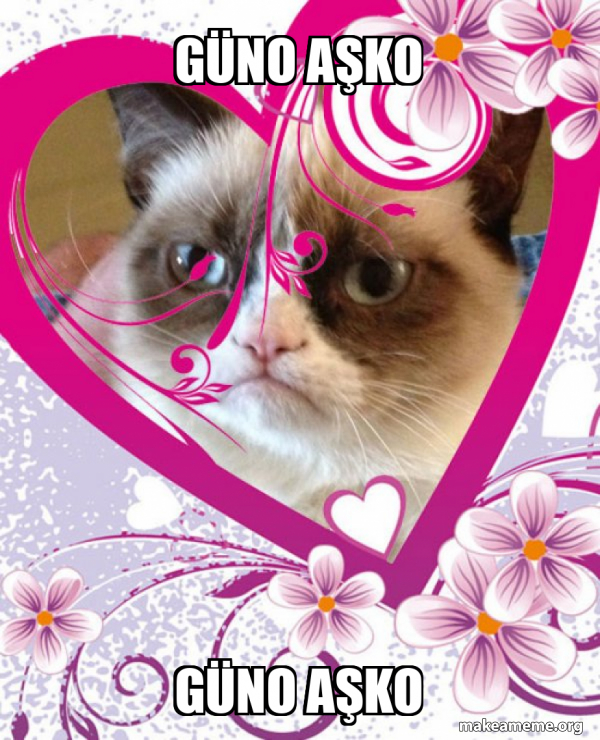 GÜNO AŞKO GÜNO AŞKO - Grumpy cat Valentines Day Meme Generator