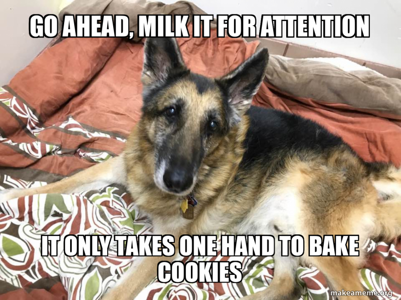 GO AHEAD, MILK IT FOR ATTENTION IT ONLY TAKES ONE HAND TO BAKE COOKIES ...