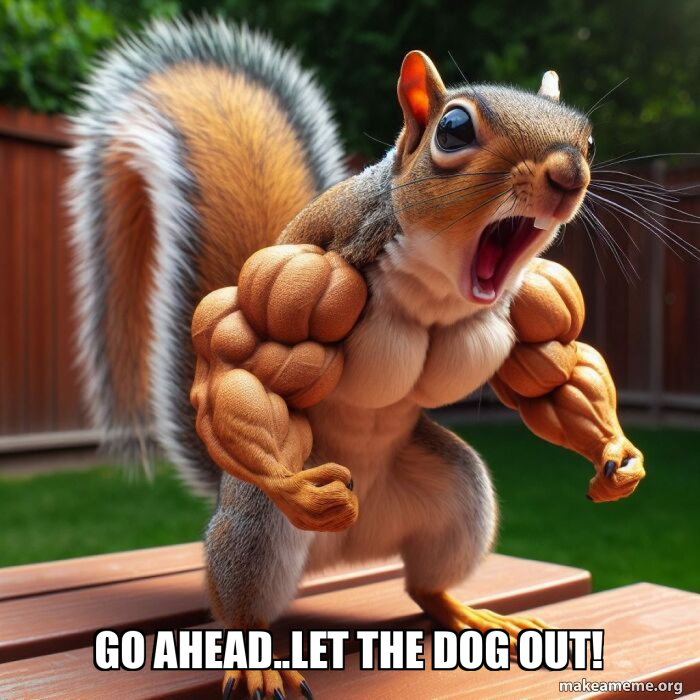 go ahead..let the dog out! Meme Generator