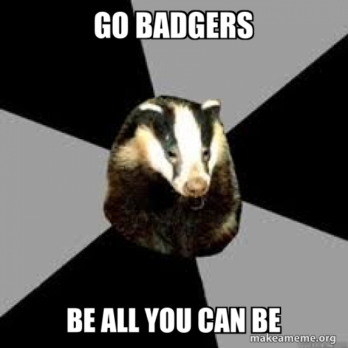 go badgers be all you can be Meme Generator