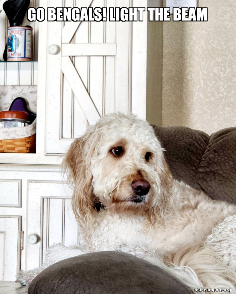 Go bengals! Light The beam Meme Generator