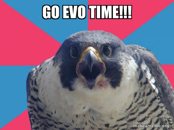 go evo time!!! - Millennial Falcon Meme Generator