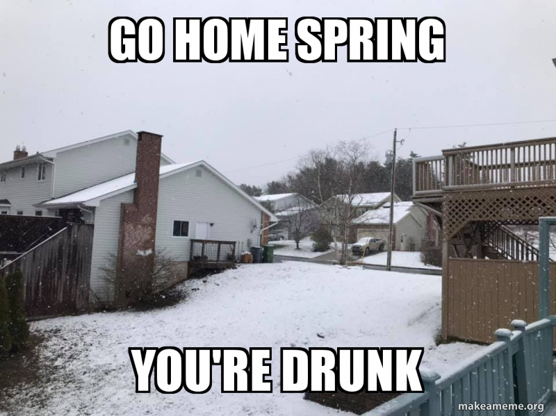 Go home spring you're drunk Meme Generator