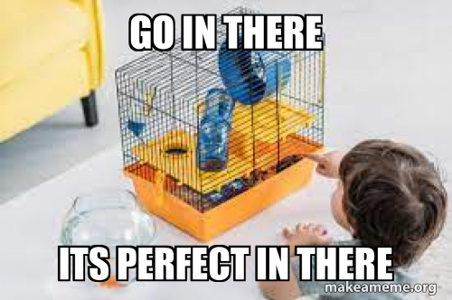 go in there its perfect in there - trick Meme Generator