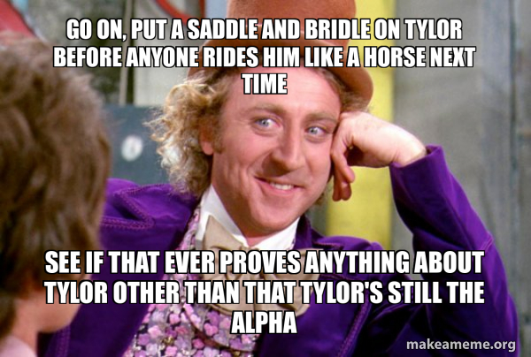 go on, put a saddle and bridle on tylor before anyone rides him like a ...