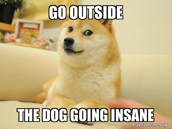 go outside the dog going insane - Doge Meme Generator
