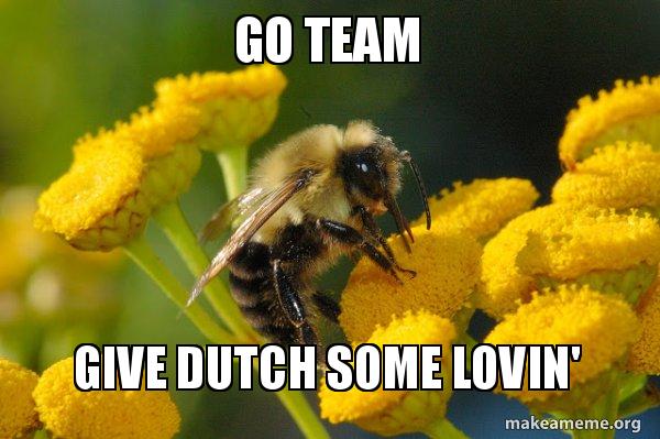 go team give dutch some lovin' - Good Guy Bee Meme Generator