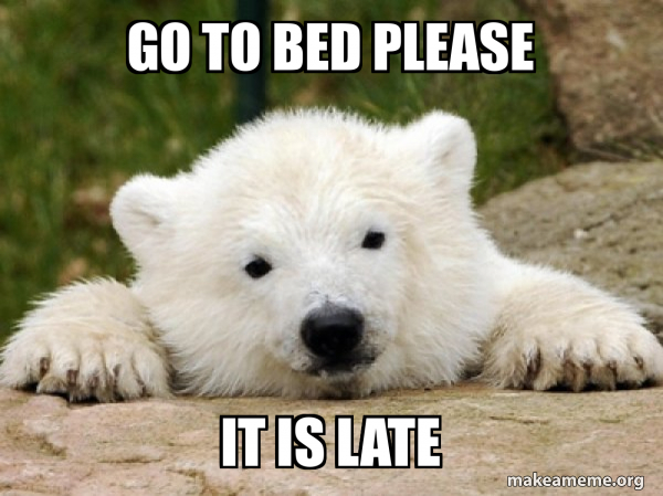 Go to bed please it is late - Popular Opinion Bear Meme Generator