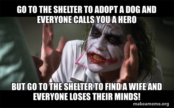 Go to the shelter to adopt a dog and everyone calls you a hero But go ...
